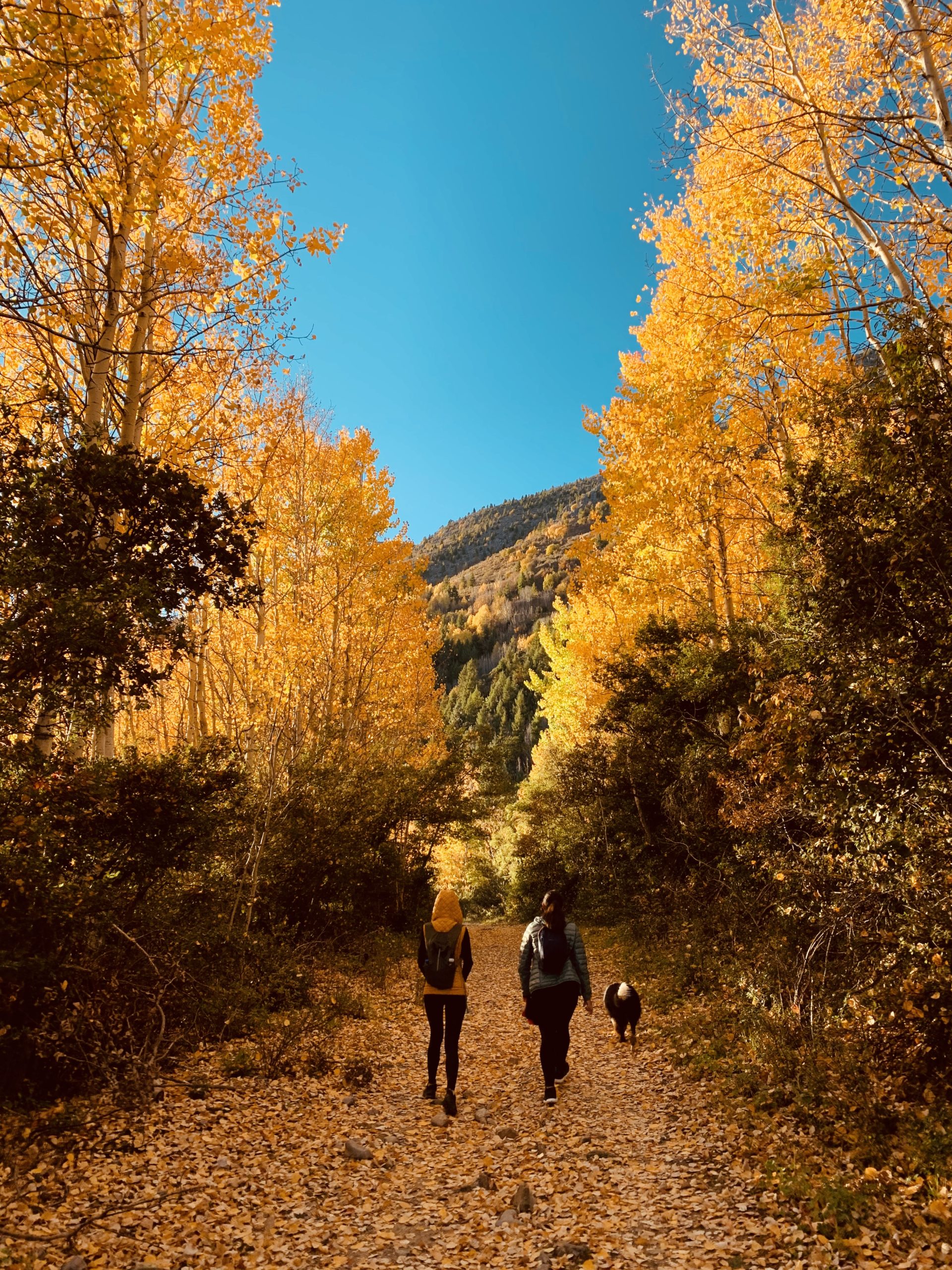 The Outlands | La Marta