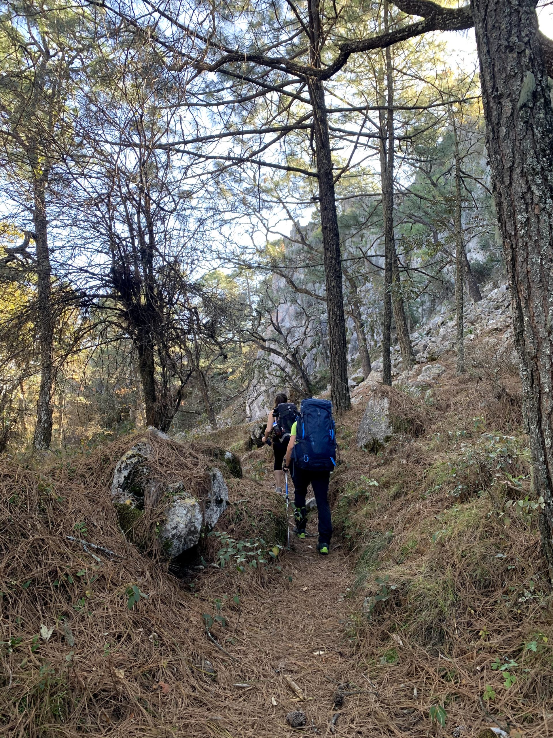 The Outlands | La Batea